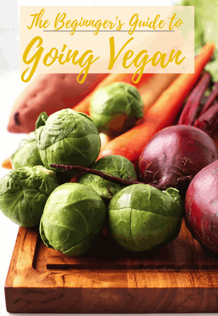 Resource Library - My Darling Vegan